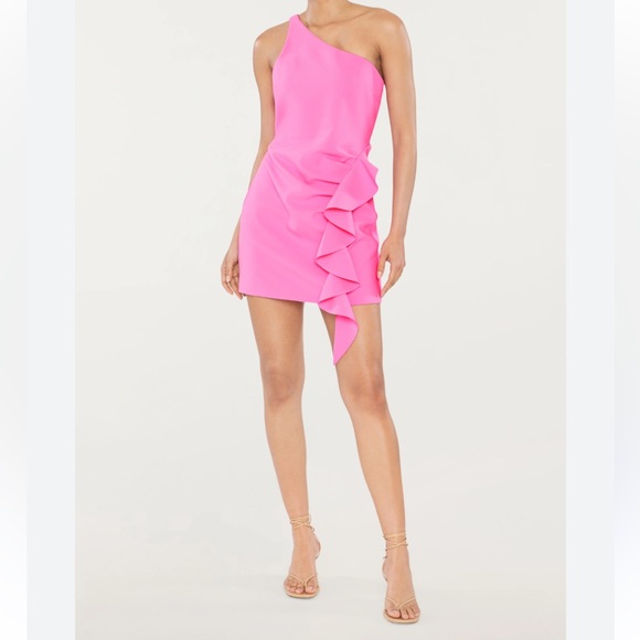 Lena | Dresses | Lena Bold Pink Garment | Poshmark